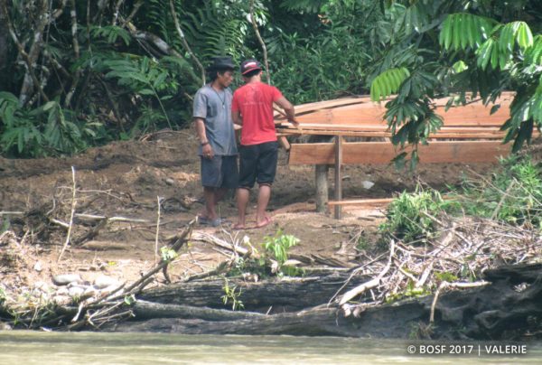1-Pembuatan-perahu-1024x689 - Borneo Orangutan Survival Australia
