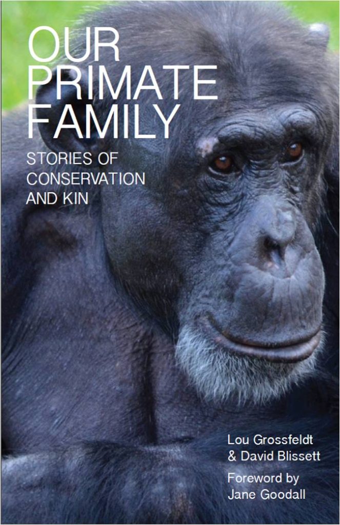 Our Primate Family by Lou Grossfeldt - Borneo Orangutan Survival Australia